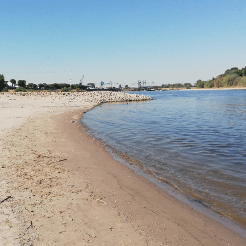 Campingplatz am Rhein • Startseite • Strand-Terrasse